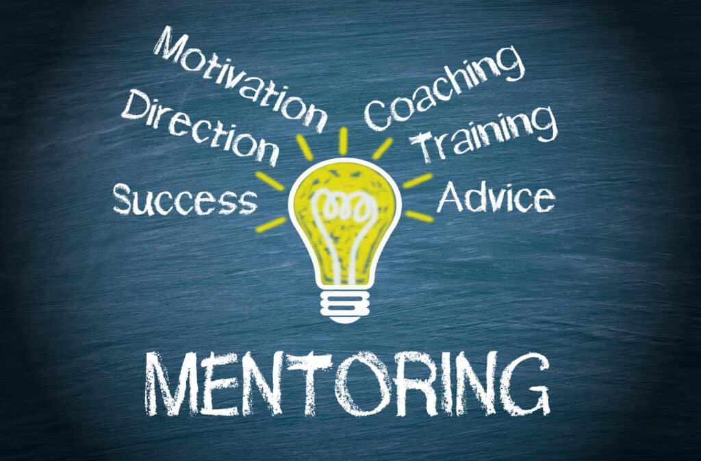 Introducing the Qualification Mentoring Scheme - 2023 intake | The Lime ...